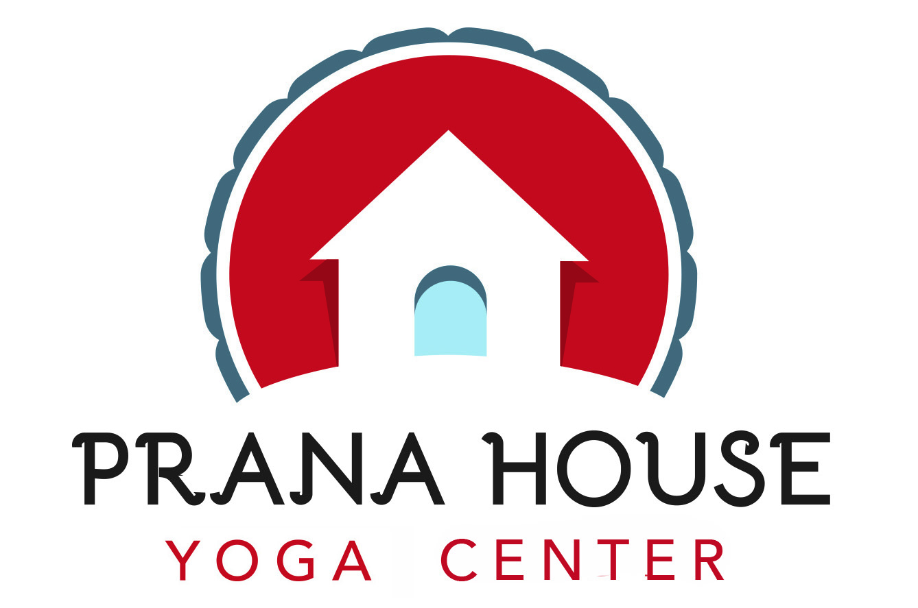 About the Organization